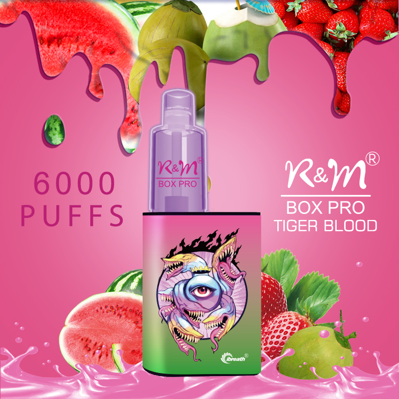 R&M BOX PRO 5% Nicotine 6000 Puffs Disposable Vape from China ...